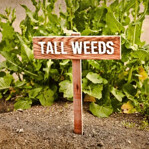 TALL WEEDS Yard or Garden Humor Sign, Painted & Oil Sealed Cedar Wood ...
