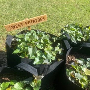 POTATOES Garden Marker, POTATOES Garden Sign Painted & Oil Sealed Cedar ...