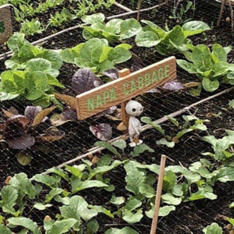 CABBAGE Garden Sign Outdoor Sign Yard Art Leafy Vegetable | Etsy
