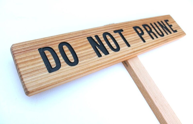 DO NOT PRUNE Sign Warning Marker Garden Sign Outdoor Sign - Etsy
