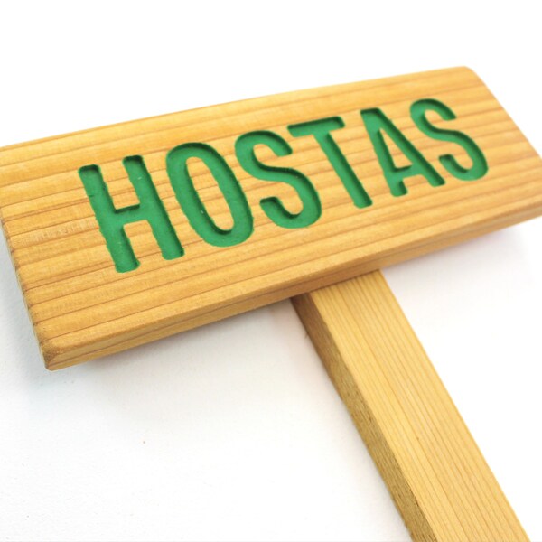 Hosta Plants - Etsy