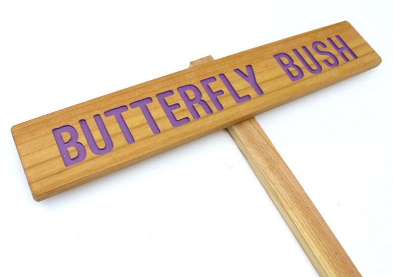 BUTTERFLY BUSH Sign Flower Marker Outdoor Sign Yard Art - Etsy