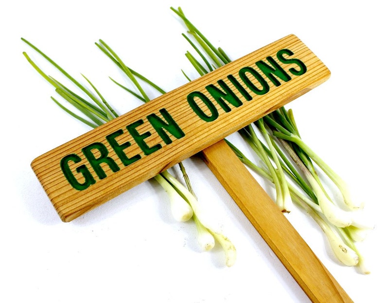 GREEN ONIONS Garden Marker Vegetable Signs Cedar Wood - Etsy