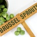 BRUSSEL SPROUTS Sign, Outdoor Marker, Yard Art, Vegetable Sign, Plant ...