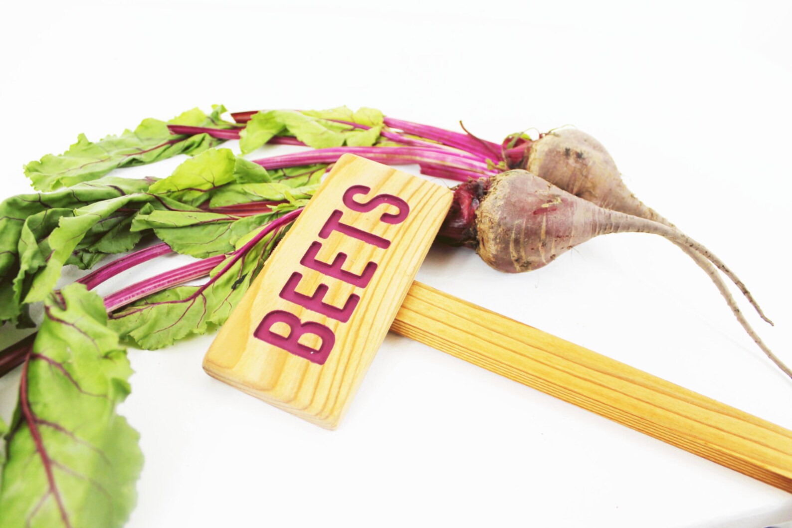 BEETS Garden Marker Painted & Oil Sealed Cedar Wood: Hand - Etsy