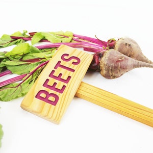 BEETS Garden Marker, Painted & Oil Sealed Cedar Wood: Hand Routed ...