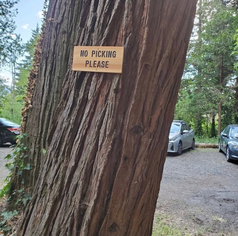 NO PICKING PLEASE Sign Outdoor Marker Yard Art Flower | Etsy