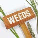 WEEDS Garden Sign, Painted & Oil Sealed Cedar Wood: Hand Routed, Yard ...
