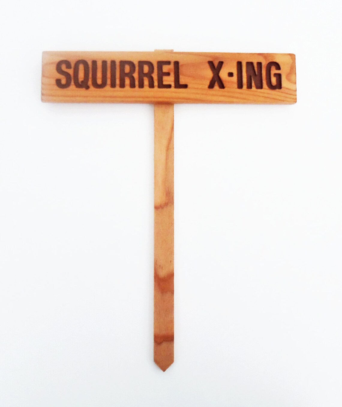 SQUIRREL X-ING Caution Sign Hand Routed Cedar Wood Yard Sign - Etsy