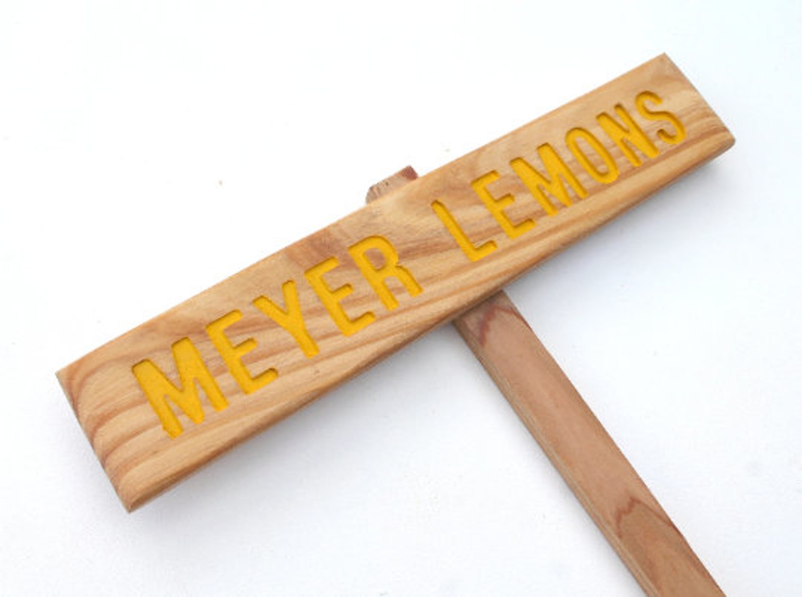 LEMONS Rustic Tree Sign Hand Routed Citrus Tree Marker | Etsy