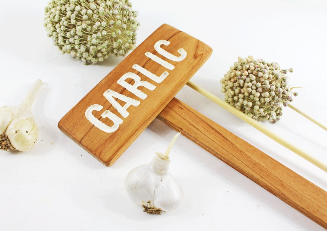 GARLIC Herb Garden Sign, Painted & Oil Sealed Cedar Wood: Hand Routed ...