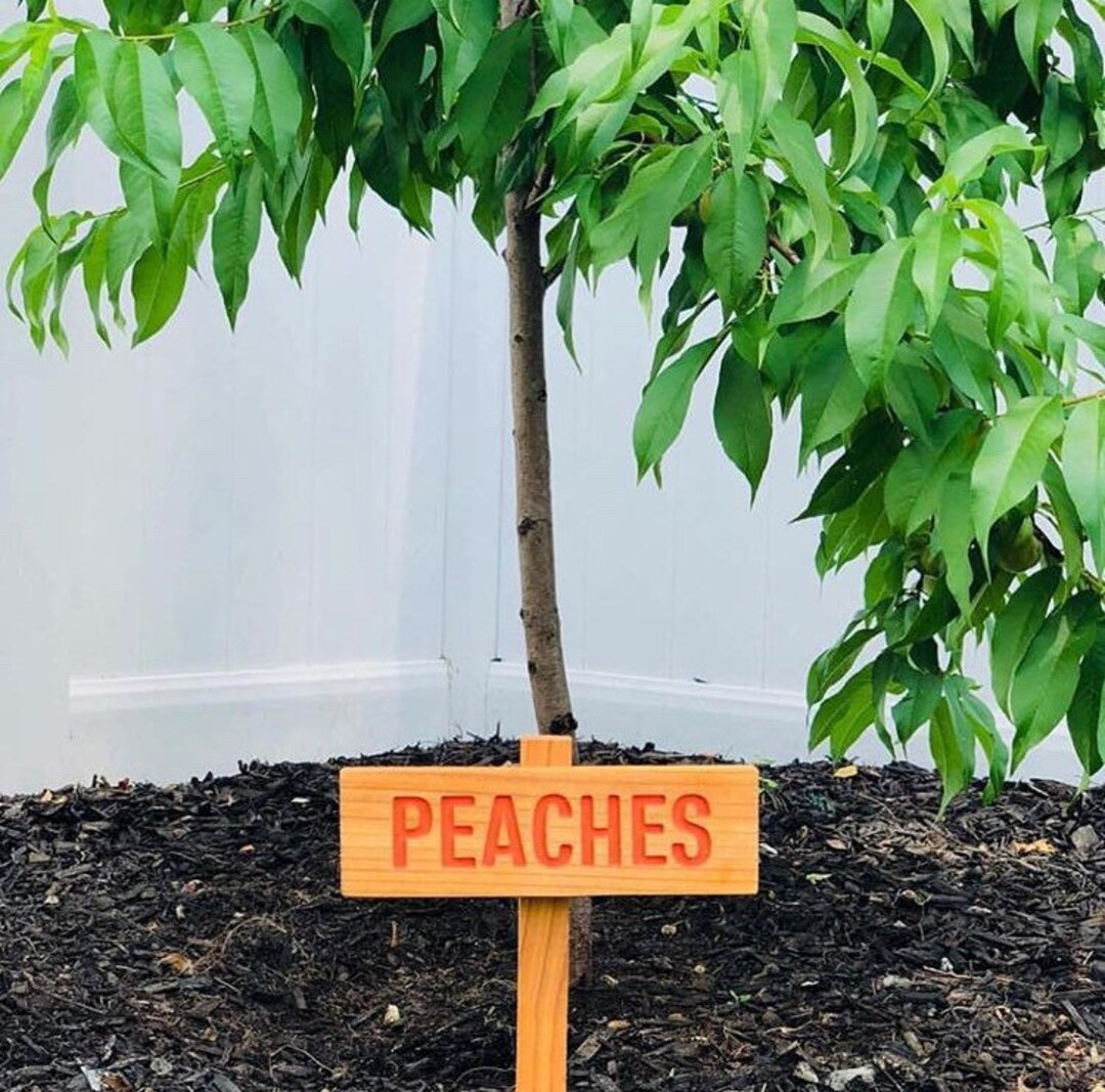 PEACHES Sign, Outdoor Sign, Yard Art, Garden Marker, Fruit Tree Sign ...