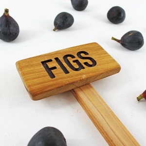 FIGS Rustic Tree Sign, Hand Routed, Tree Marker, Summer Fruit Tree Sign ...