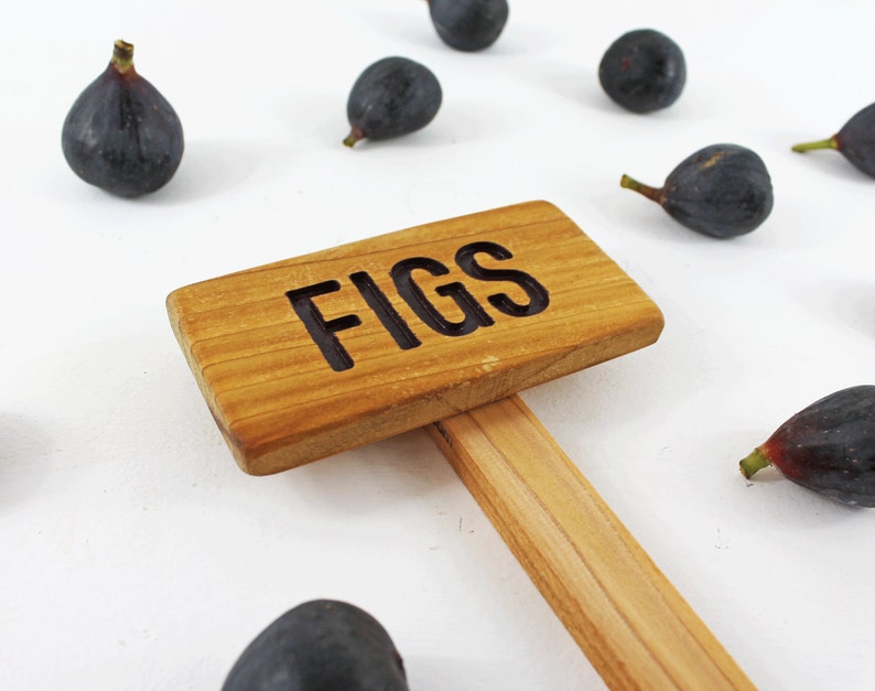 FIGS Rustic Tree Sign, Hand Routed, Tree Marker, Summer Fruit Tree Sign ...