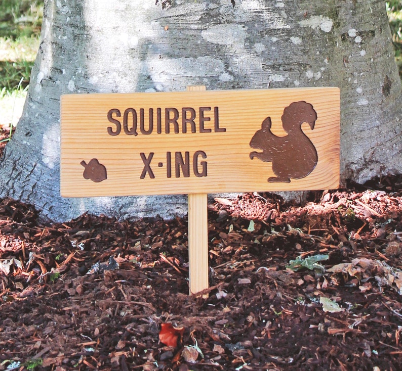 SQUIRREL X-ING Squirrel Crossing Personalized Sign Outdoor - Etsy