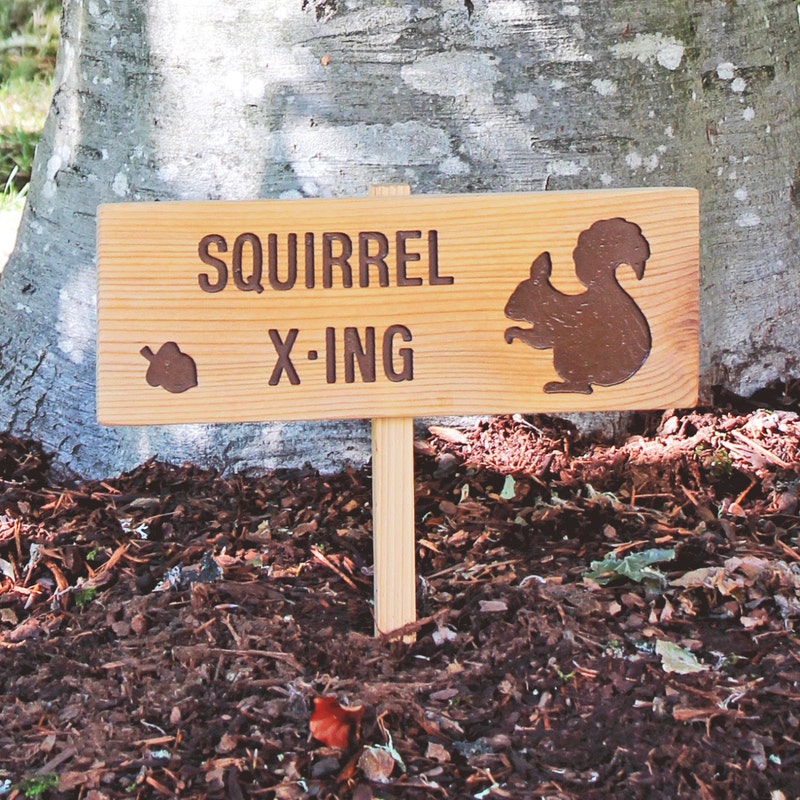 Squirrel - Etsy