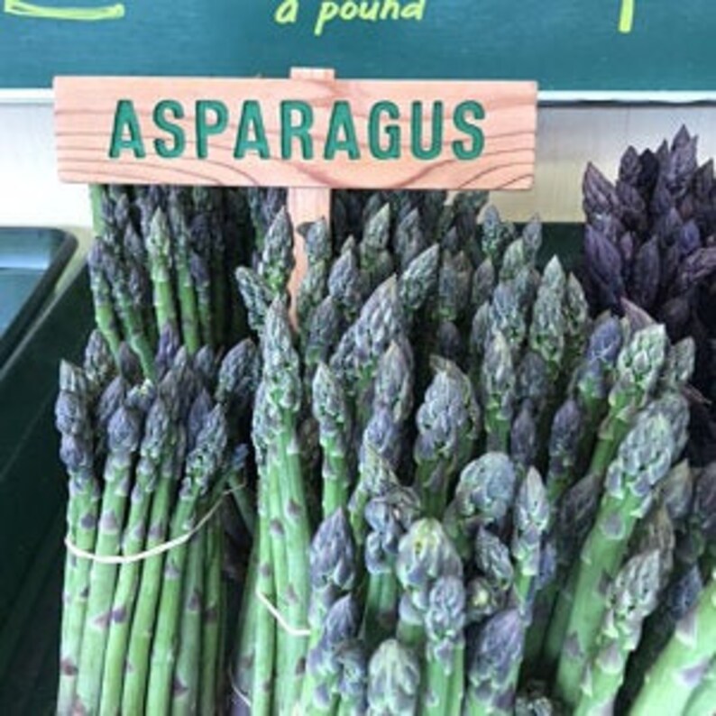 ASPARAGUS Garden Sign Plant Label Outdoor Sign Yard Art - Etsy