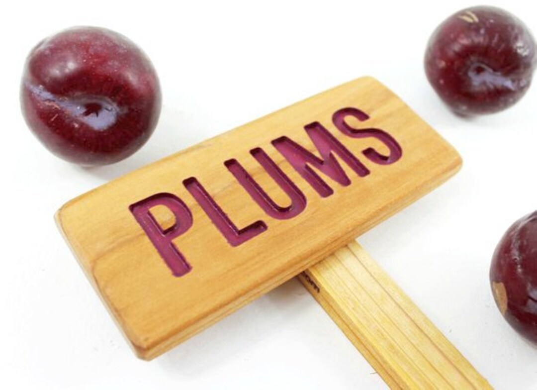 PLUMS Sign, Fruit Tree Sign, Hand Routed, Garden Sign, Orchard Marker ...
