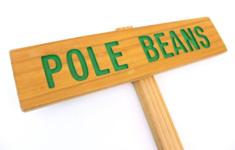 BEANS Sign Vegetable Marker Outdoor Sign Yard Art Veggie - Etsy