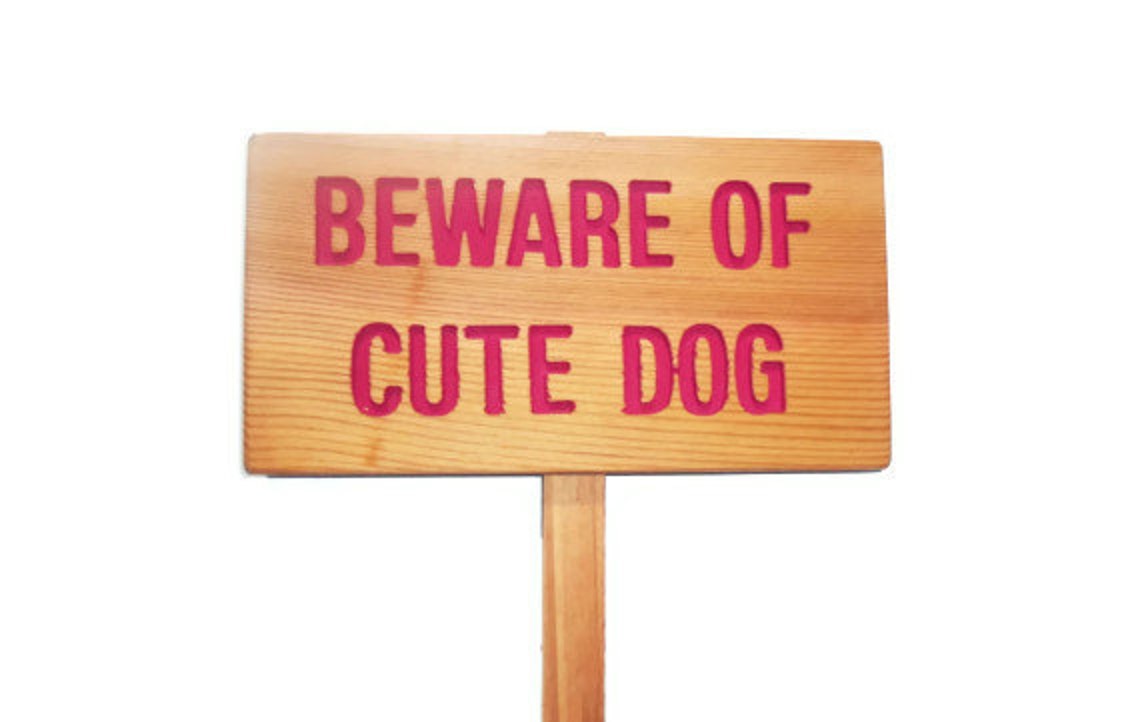 Beware of Cute Dog Sign Fun Dog Sign Dog Lovers Gift Cute | Etsy