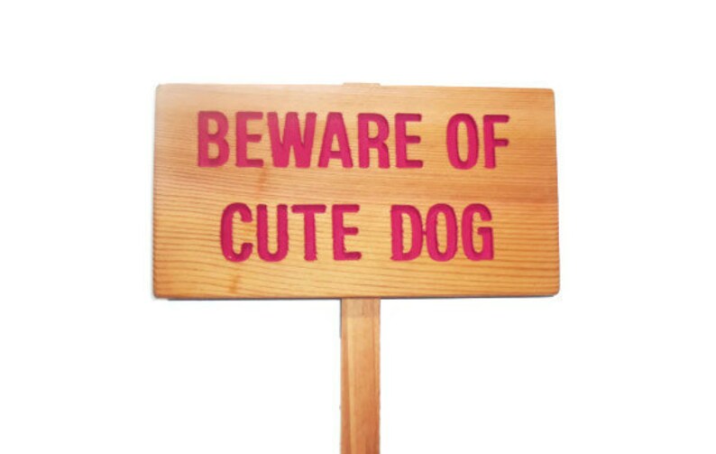 Beware of Cute Dog Sign, Fun Dog Sign, Dog Lovers Gift, Cute Puppy Sign ...