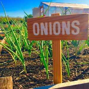 ONIONS Sign, Vegetable Marker, Outdoor Sign, Yard Art, Garden Marker ...