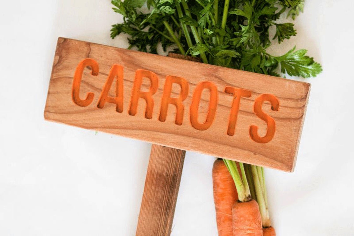 CARROTS Garden Sign, Outdoor Sign, Yard Art, Vegetable Sign, Root ...