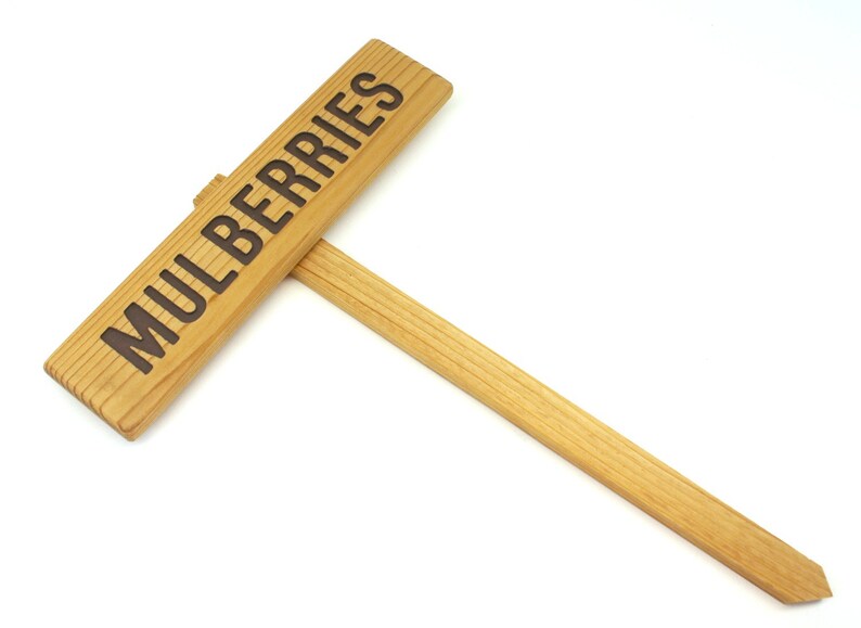 MULBERRIES Sign Fruit Marker Outdoor Sign Yard Art Hanging - Etsy
