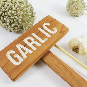 GARLIC Herb Garden Sign, Painted & Oil Sealed Cedar Wood: Hand Routed ...
