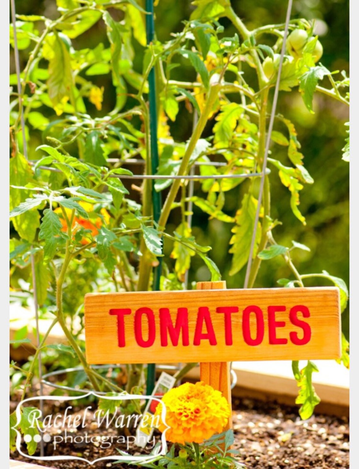 Tomatoes Sign Garden Marker Outdoor Sign Yard Art | Etsy