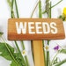 WEEDS Garden Sign, Painted & Oil Sealed Cedar Wood: Hand Routed, Yard ...