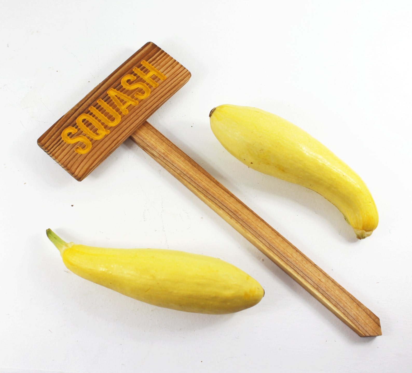 SQUASH Garden Sign, Plant Marker, Outdoor Sign, Yard Art, Garden ...