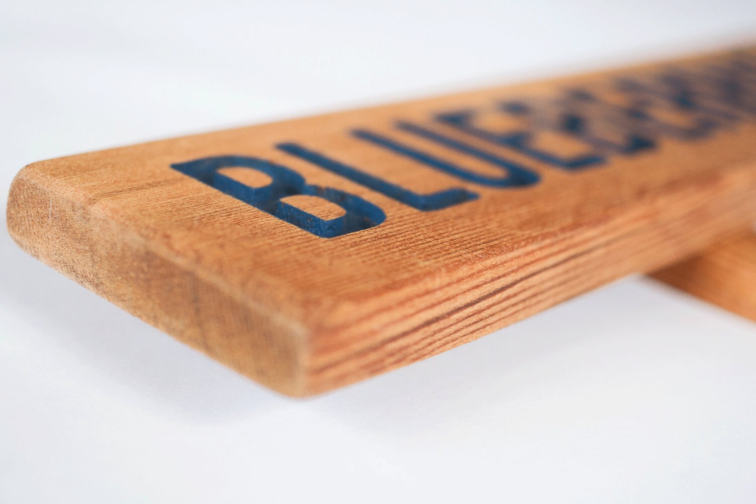 BLUEBERRIES Sign Fruit Marker Garden Sign Plant Label - Etsy