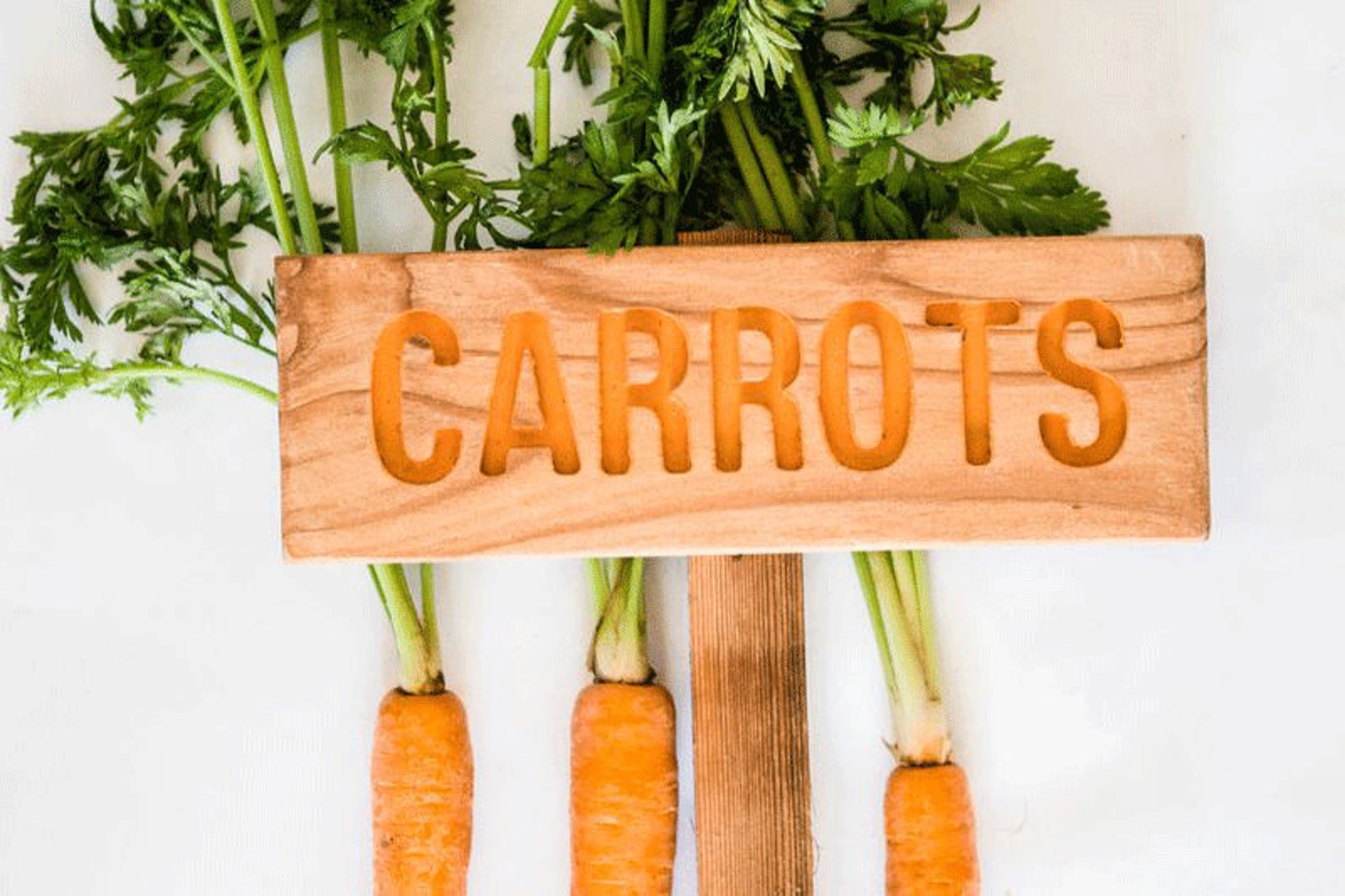 CARROTS Garden Sign, Outdoor Sign, Yard Art, Vegetable Sign, Root ...
