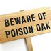Beware of Poison Oak Sign, Poison Oak Marker, Trail Sign, Camp Signage ...