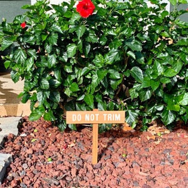 DO NOT TRIM Sign, No Trimming Marker, Warning Sign, Garden Marker ...