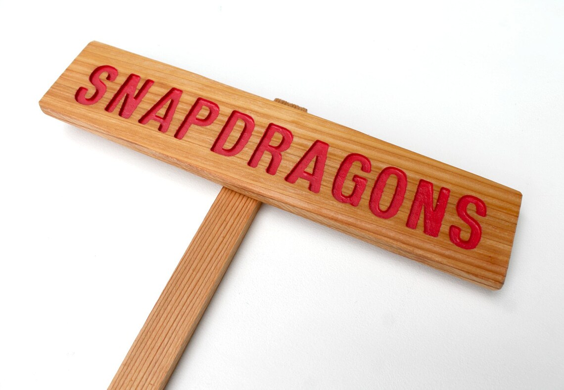 SNAPDRAGONS Garden Sign Flower Marker Outdoor Sign Floral - Etsy