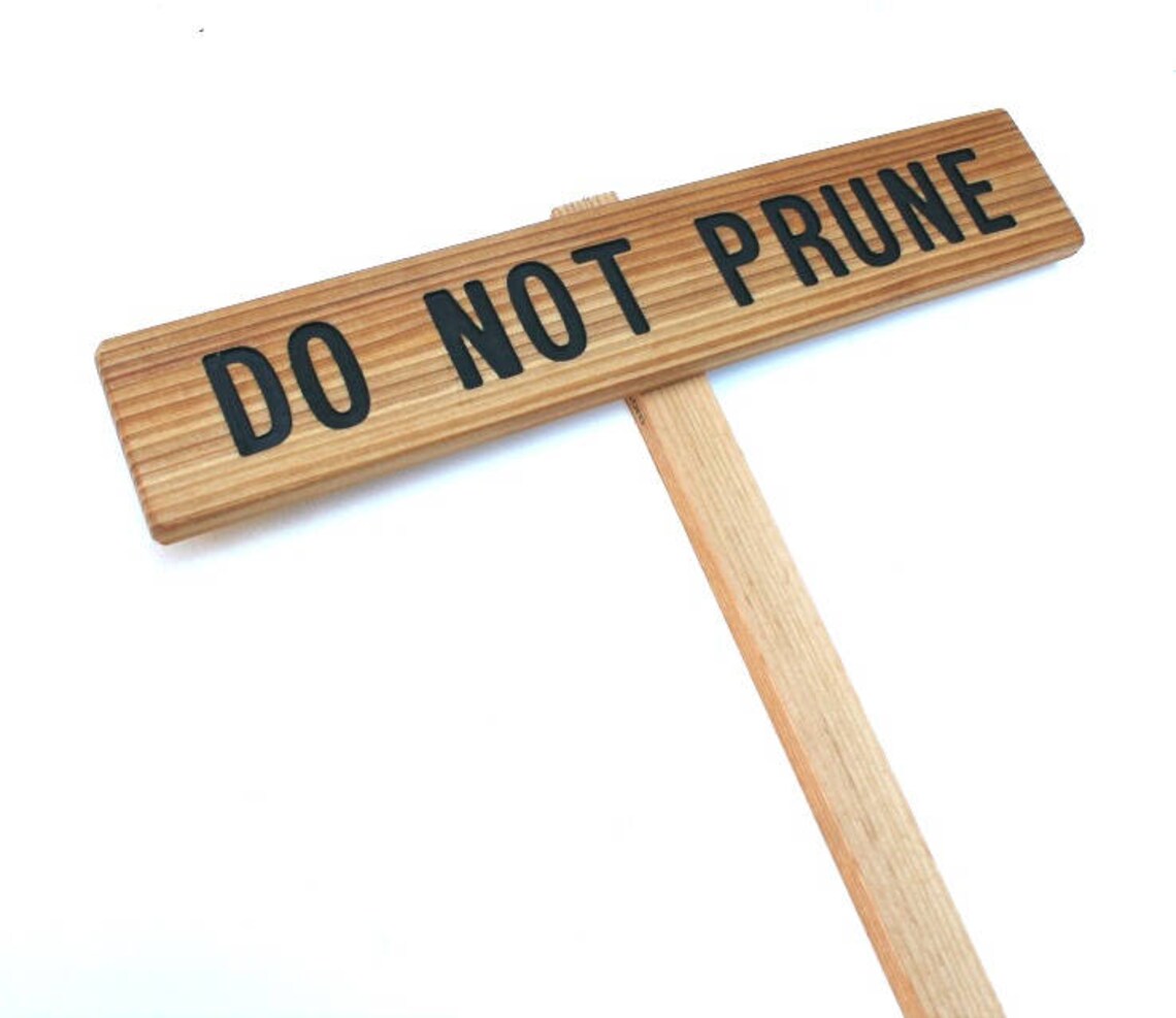 DO NOT PRUNE Sign Warning Marker Garden Sign Outdoor Sign | Etsy