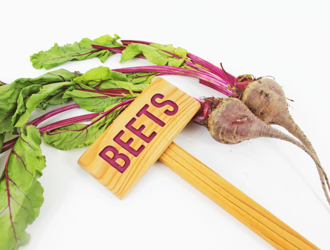 BEETS Garden Marker, Painted & Oil Sealed Cedar Wood: Hand Routed ...