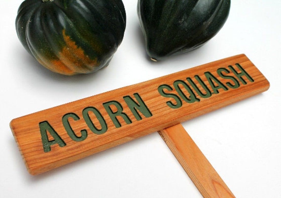 SQUASH Garden Sign, Plant Marker, Outdoor Sign, Yard Art, Garden ...