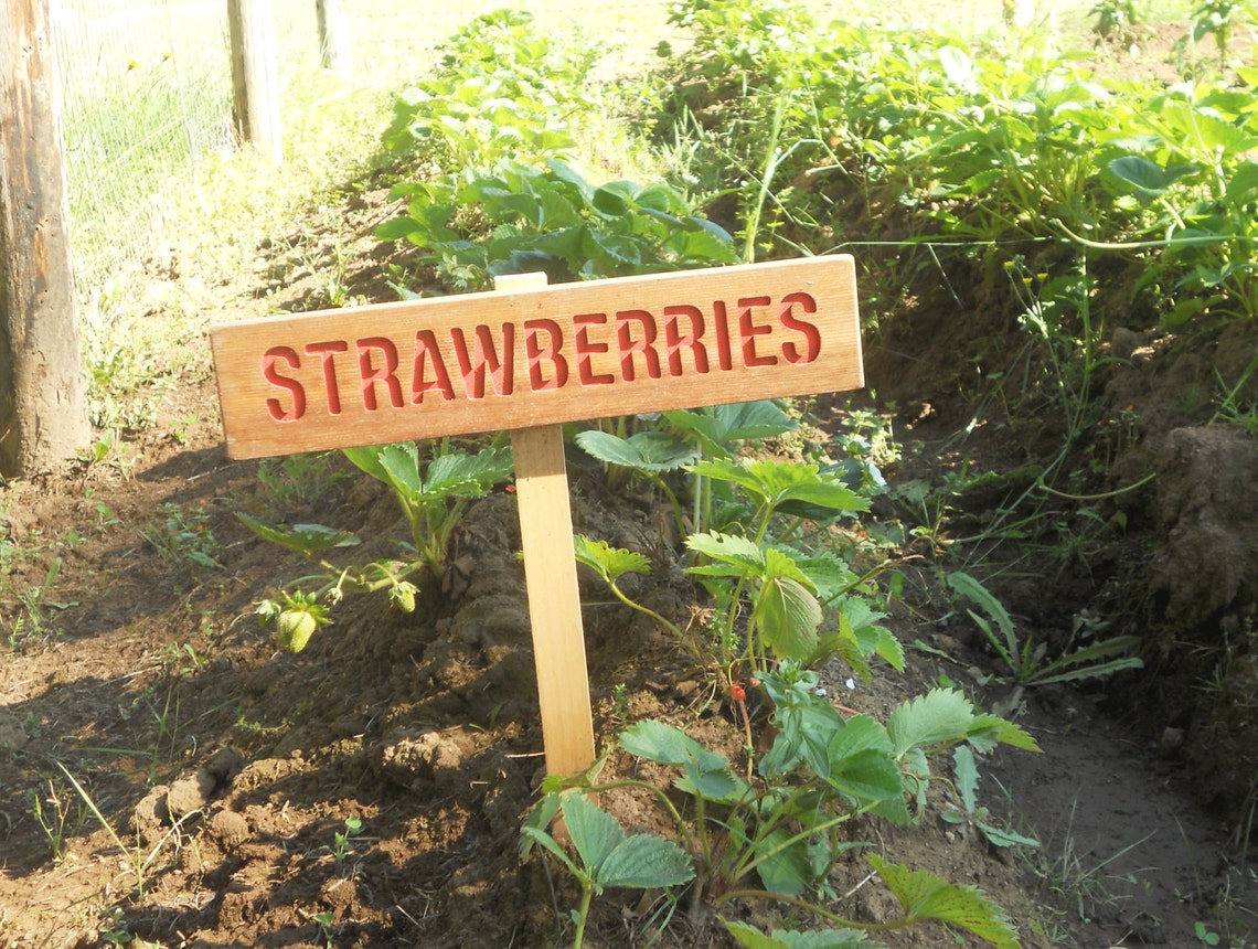 STRAWBERRIES Garden Sign Painted & Oil Sealed Cedar Wood: - Etsy