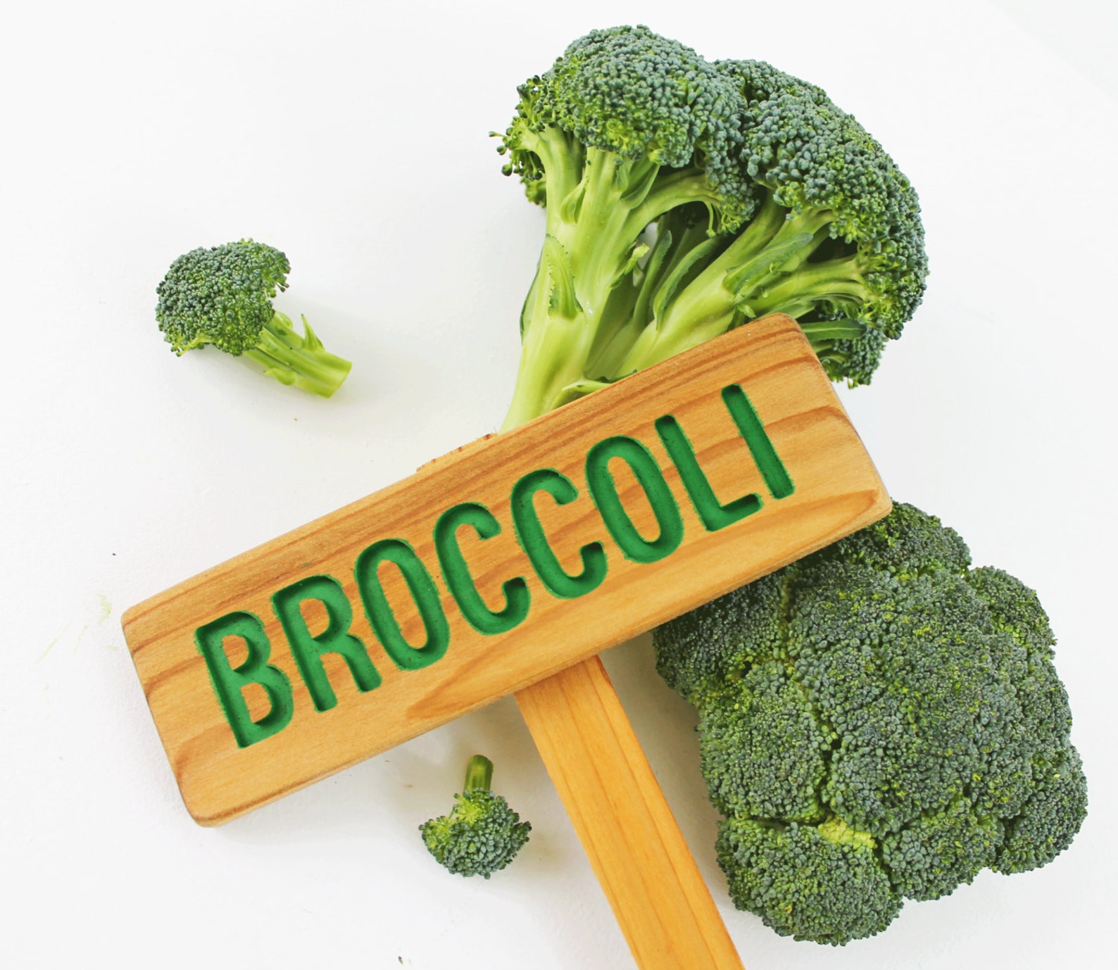 BROCCOLI Garden Sign, Painted & Oil Sealed Cedar Wood: Hand Routed ...