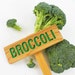 BROCCOLI Garden Sign, Painted & Oil Sealed Cedar Wood: Hand Routed ...