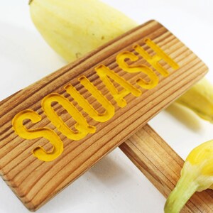 SQUASH Garden Sign, Plant Marker, Outdoor Sign, Yard Art, Garden ...