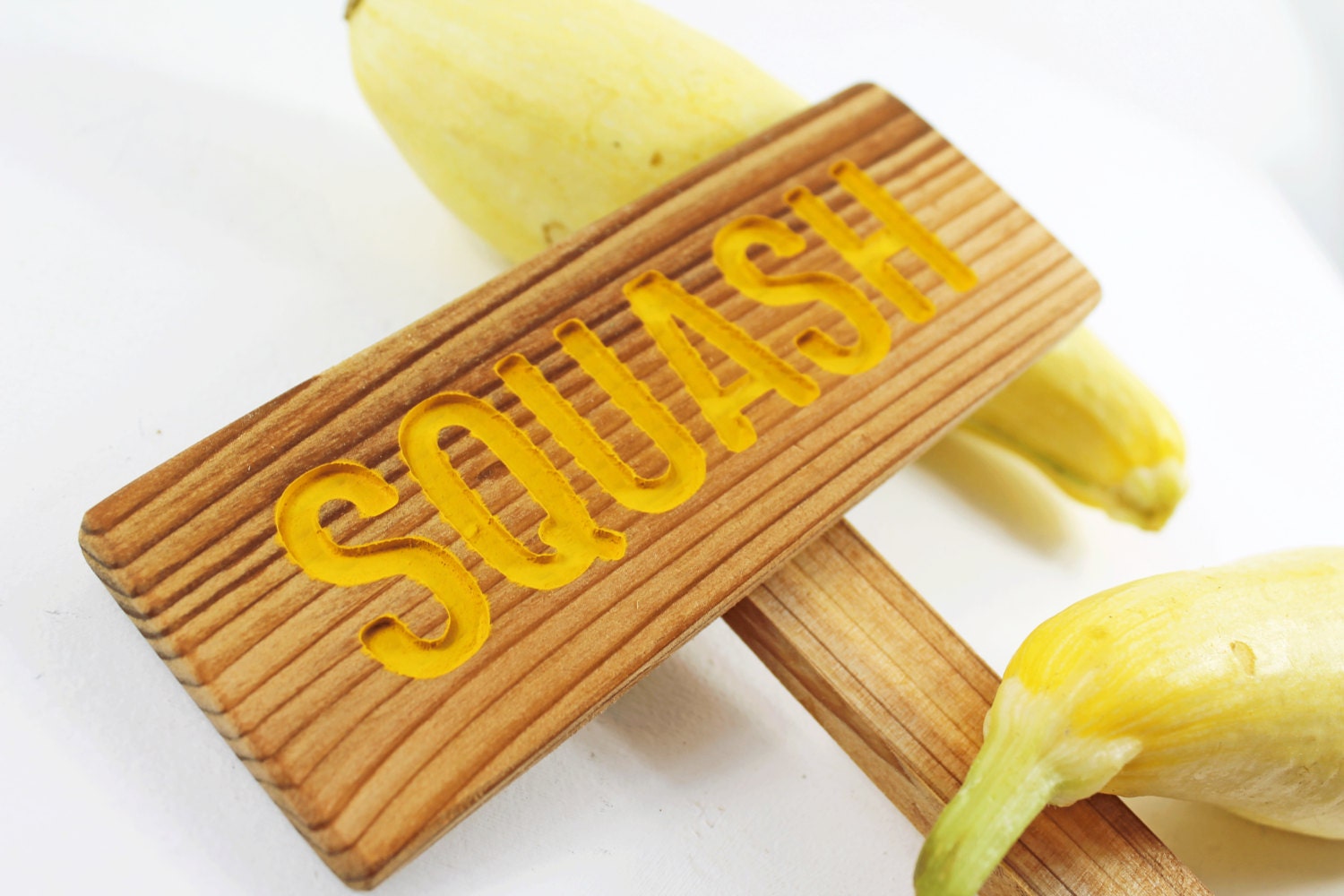 SQUASH Garden Sign, Plant Marker, Outdoor Sign, Yard Art, Garden ...