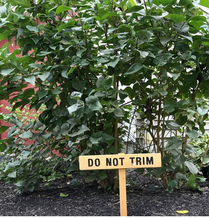 DO NOT TRIM Sign No Trimming Marker Warning Sign Garden - Etsy