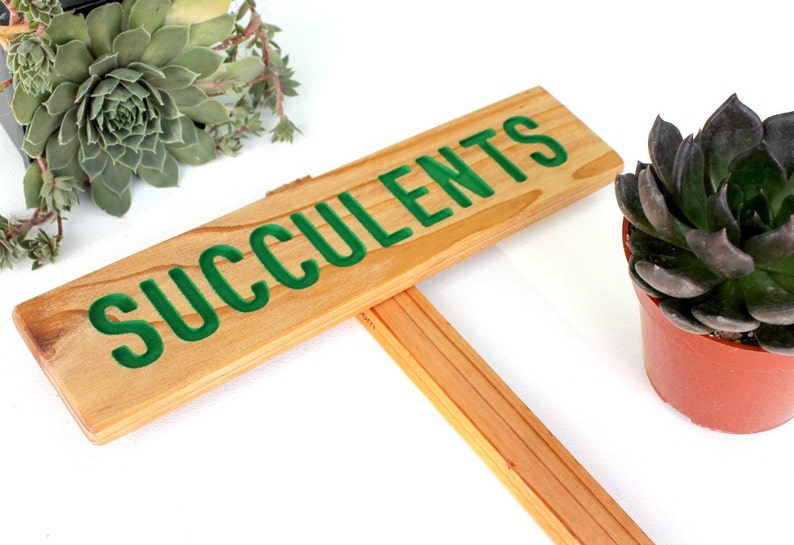 SUCCULENTS Garden Marker Plant Sign Indoor Garden Signage - Etsy