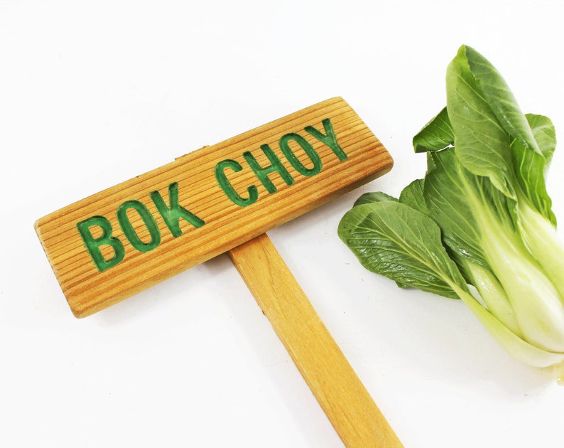 BOK CHOY Garden Sign Cedar Wood: Hand Routed Carved Wood | Etsy