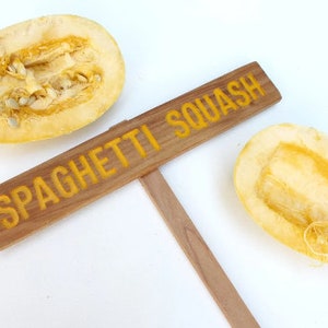 SQUASH Garden Sign, Plant Marker, Outdoor Sign, Yard Art, Garden ...