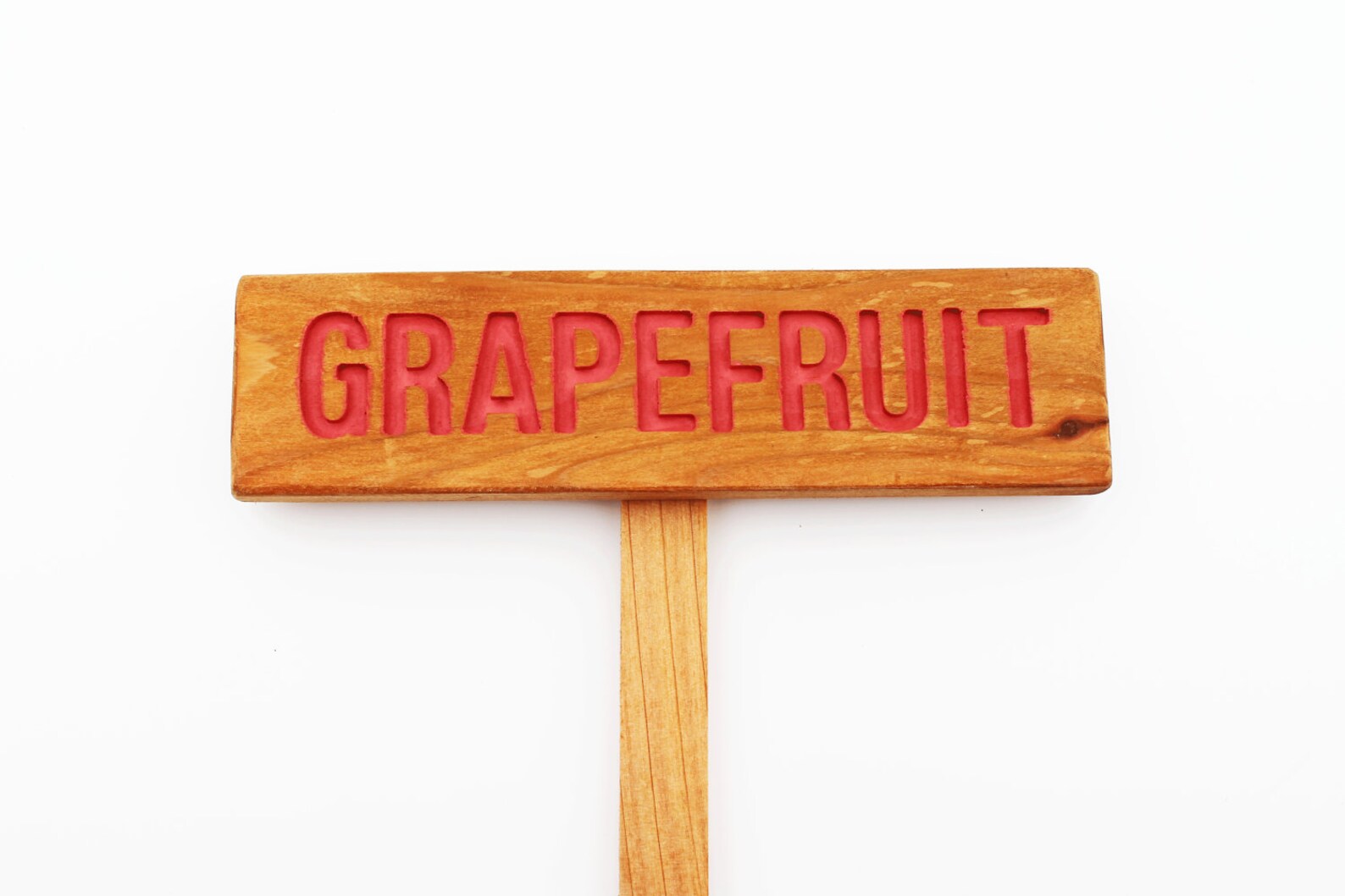 GRAPEFRUIT Rustic Tree Sign Hand Routed Citrus Tree Marker - Etsy